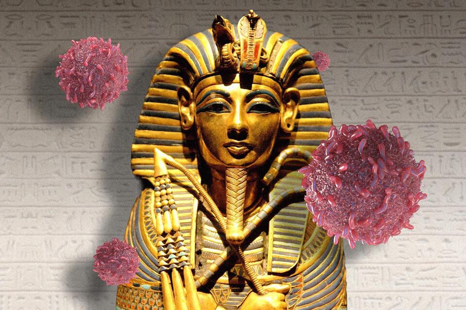 Ancient ‘pharaoh’s curse’ could be used to fight cancer: ‘It’s up to us ...