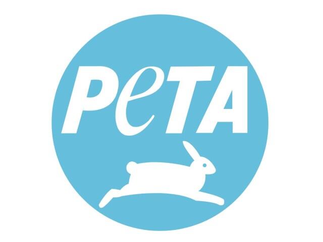 PETA calls for jockey ban from Kentucky Derby over whipping violations ...