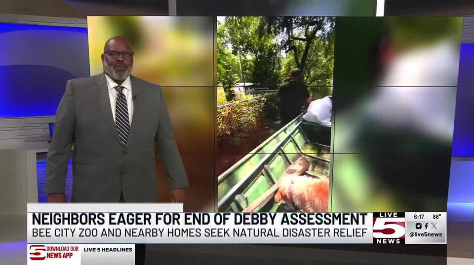 VIDEO: Tropical Storm Debby recovery efforts underway for Colleton Co ...