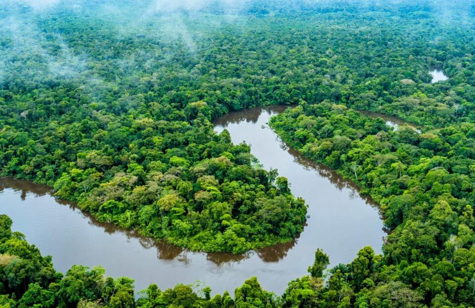 Hidden triggers of Amazon carbon emissions revealed - NewsBreak