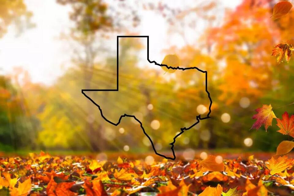 Map Shows When Beautiful Leaves Are Changing Colors in Texas - NewsBreak