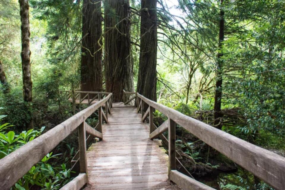 20 Gentle Outdoor Adventures for People Who Want Calm, Not Chaos ...
