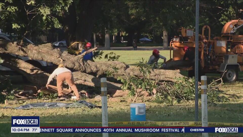 4 men injured after tree falls in Fairmount Park: police - NewsBreak
