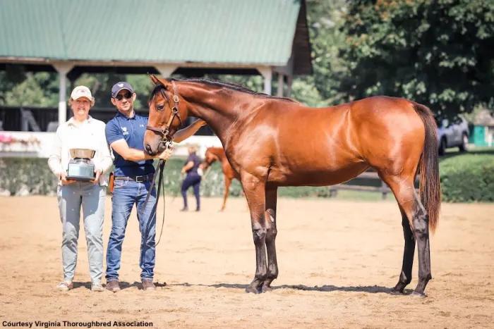 Cary Frommer To Judge 2025 Virginia Breeders Fund Yearling Futurity ...