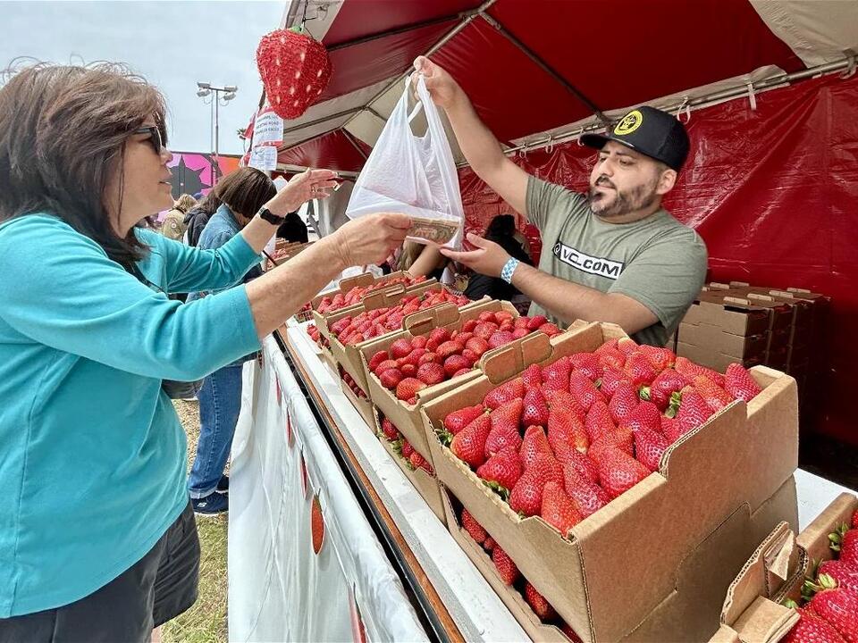 California Strawberry Festival kicks off at Ventura County Fairgrounds