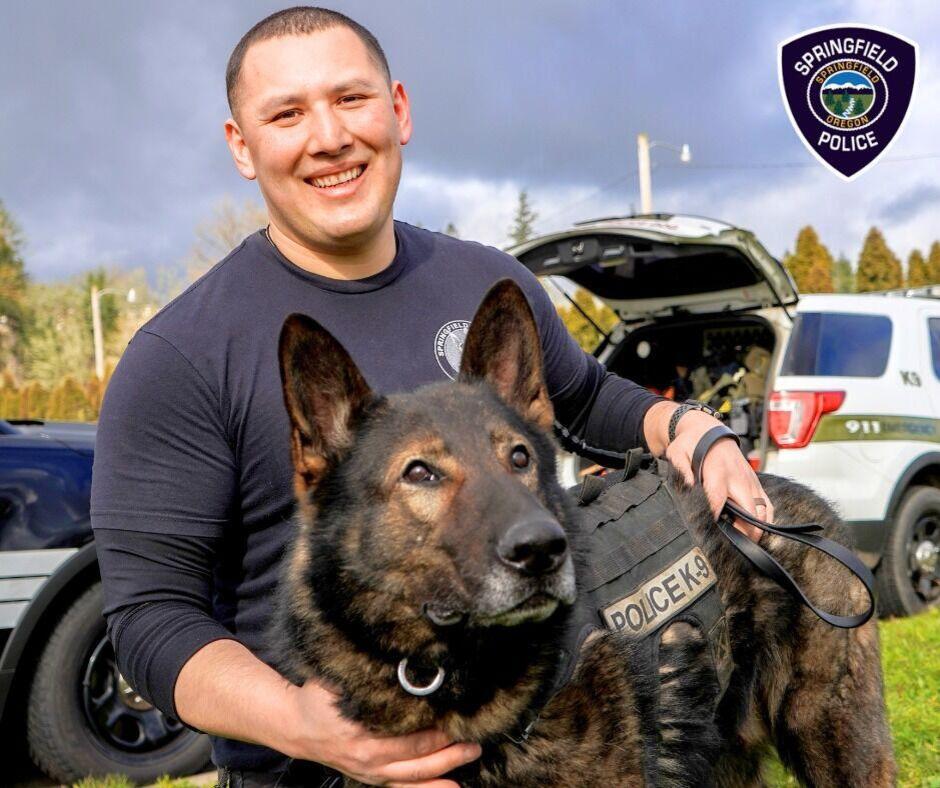 Springfield Police Department mourns loss of decorated and beloved K9 ...