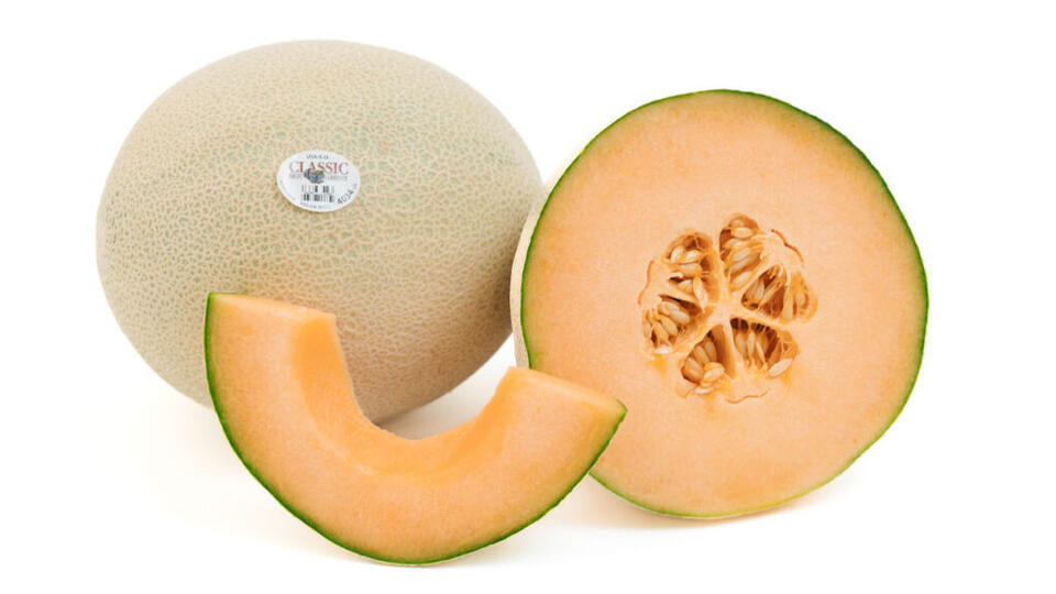 Melon Alliance Provides Update on Steady Offshore Season, Classic Fruit ...