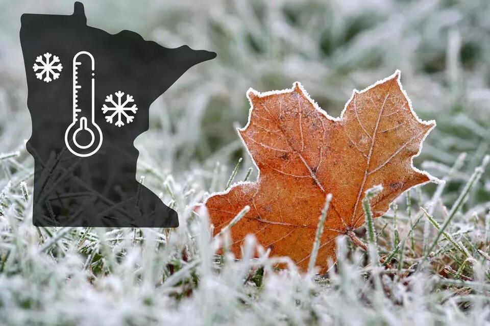 Farmer’s Almanac Predicts First Frost Dates of 2024 in Minnesota ...