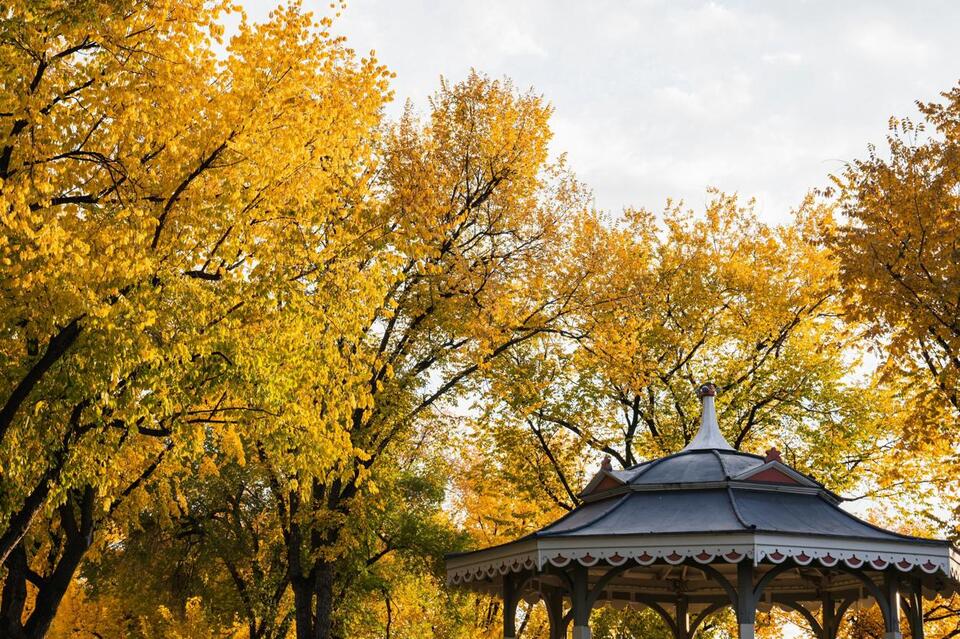 Experience Gilmore Girls Vibes in Cedarburg, Wisconsin - NewsBreak