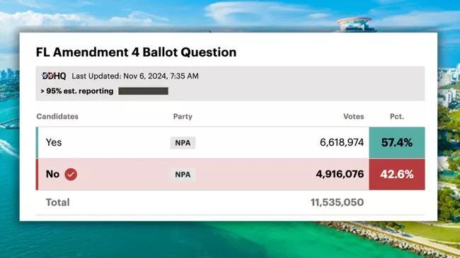 Florida Voters Reject Amendment 4 Abortion-Rights Ballot Initiative ...