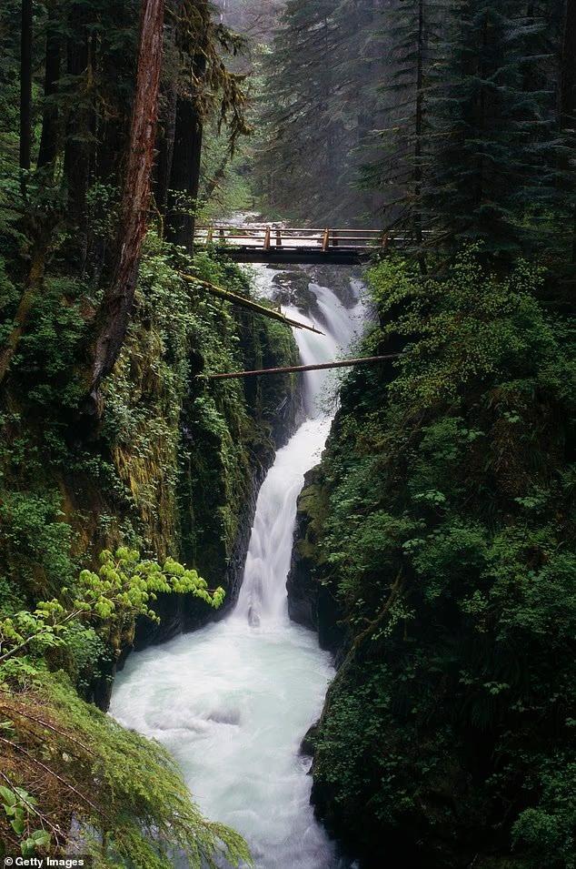 Boy, 18, plunges to his death off waterfall so powerful his body cannot ...