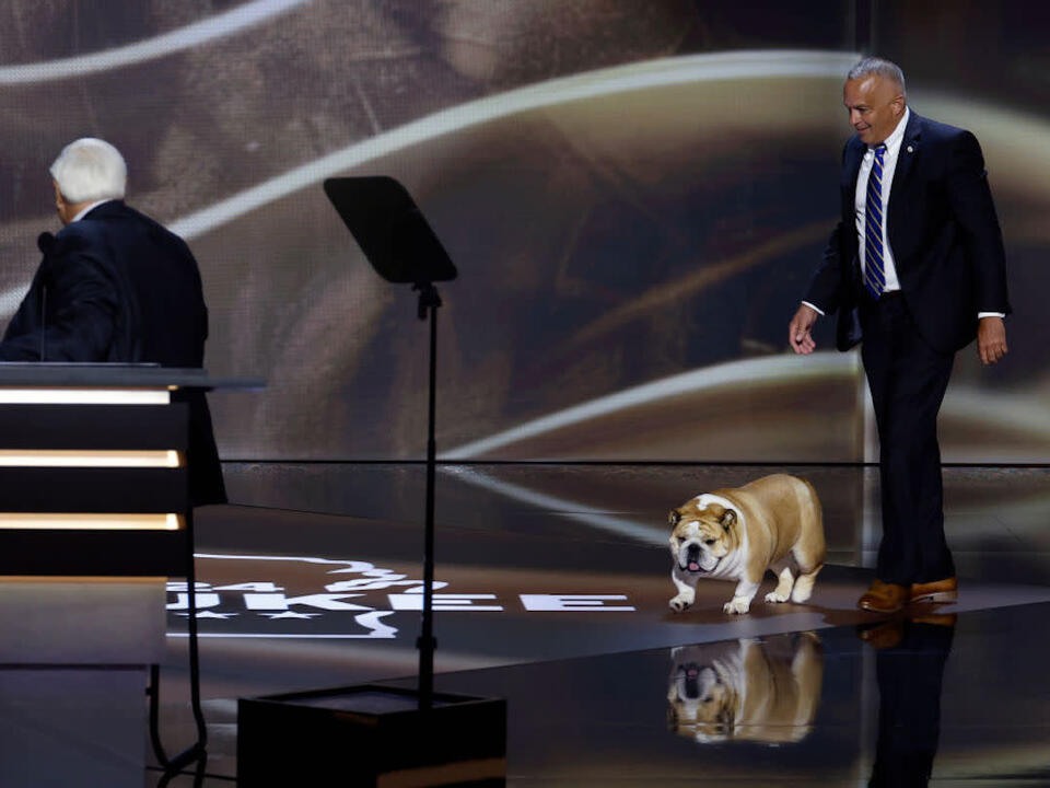 Republican Governor's Beloved English Bulldog 'Babydog' Steals the Show ...