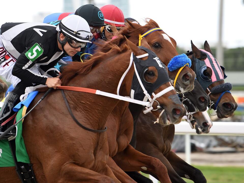 HIWU Stays Enforcement of Pending TCO2 Cases, Conducting Review of ...