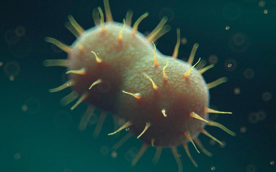 AI antibiotics for superbugs could lead to ‘golden age of discovery ...