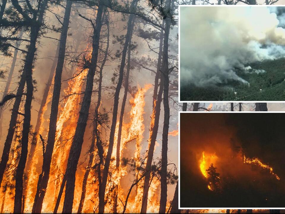 July 4 fireworks set New Jersey forest fire that burned thousands of acres