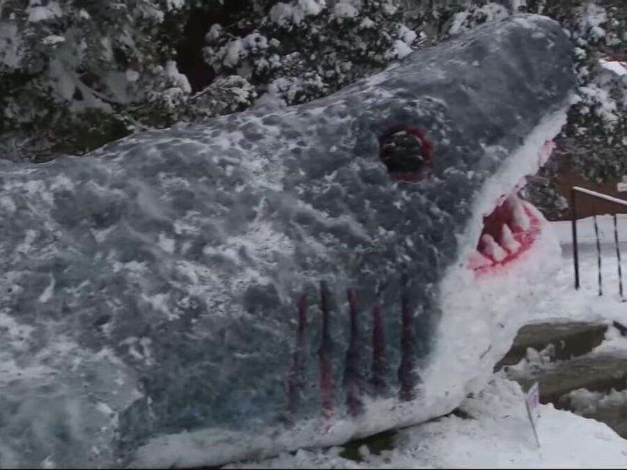 Iowa man's snow shark sculpture becomes a local tourist attraction