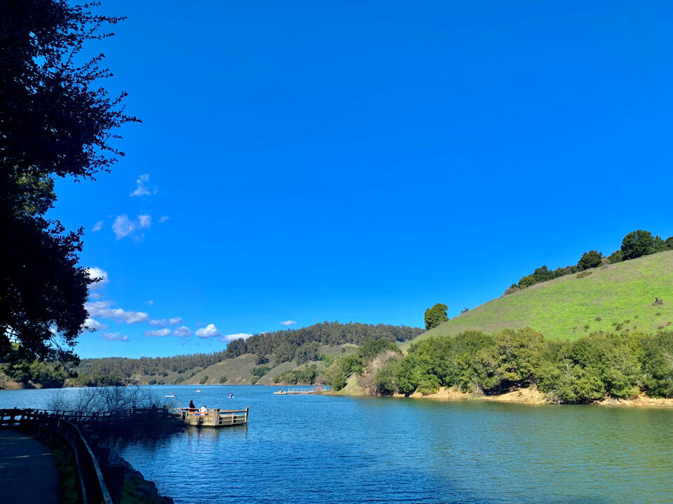 Lake Chabot: A Place Where Nature and Nostalgia Meet - NewsBreak