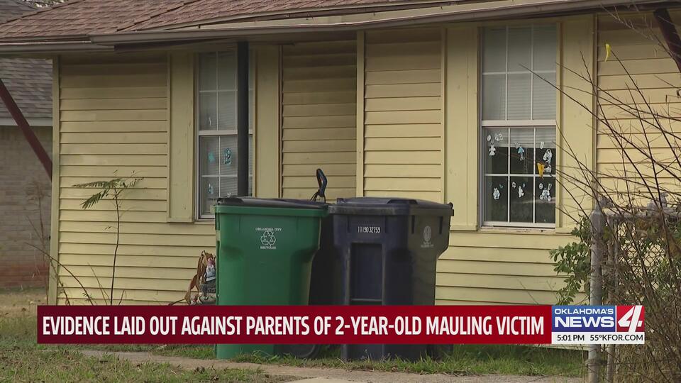 Evidence laid out against parents of two-year-old mauling victim ...