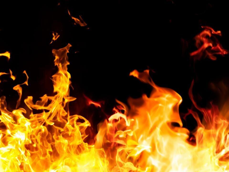 Pigs killed in barn fire at at Prestage Farms in Clinton