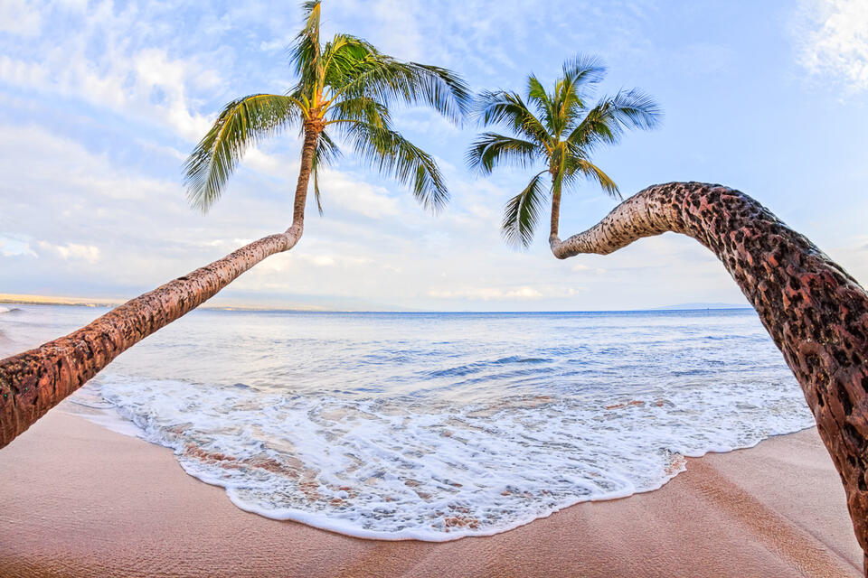 Maui Weather Forecast for January 08, 2025 - NewsBreak