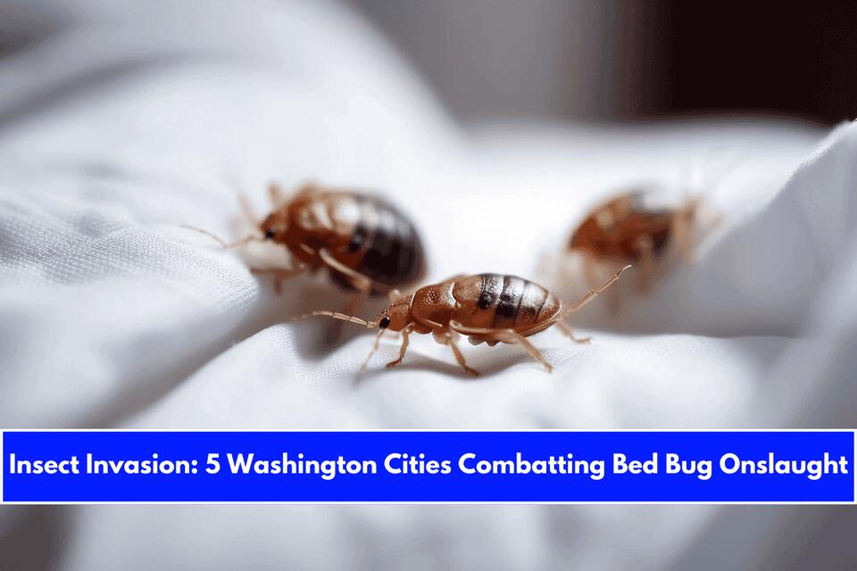 Insect Invasion: 5 Washington Cities Combatting Bed Bug Onslaught ...