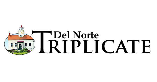 Oregon artist wins 2023 California Duck Stamp Art Contest - NewsBreak
