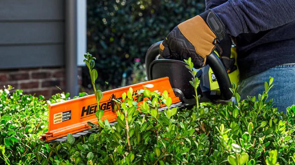 Yes, Ryobi Hedge Trimmers Can Be Sharpened - Here's How - NewsBreak