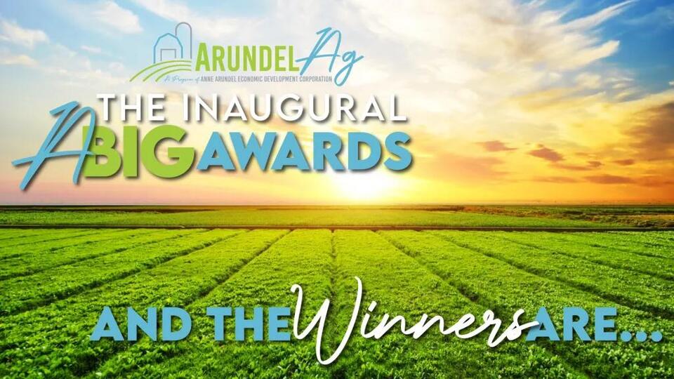 Anne Arundel Economic Development Corporation, MARBIDCO Award Total Of ...