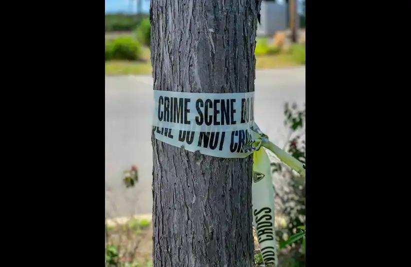 The Disturbing Aftermath: Where Shelia Eddy and Rachel Shoaf Are Today ...