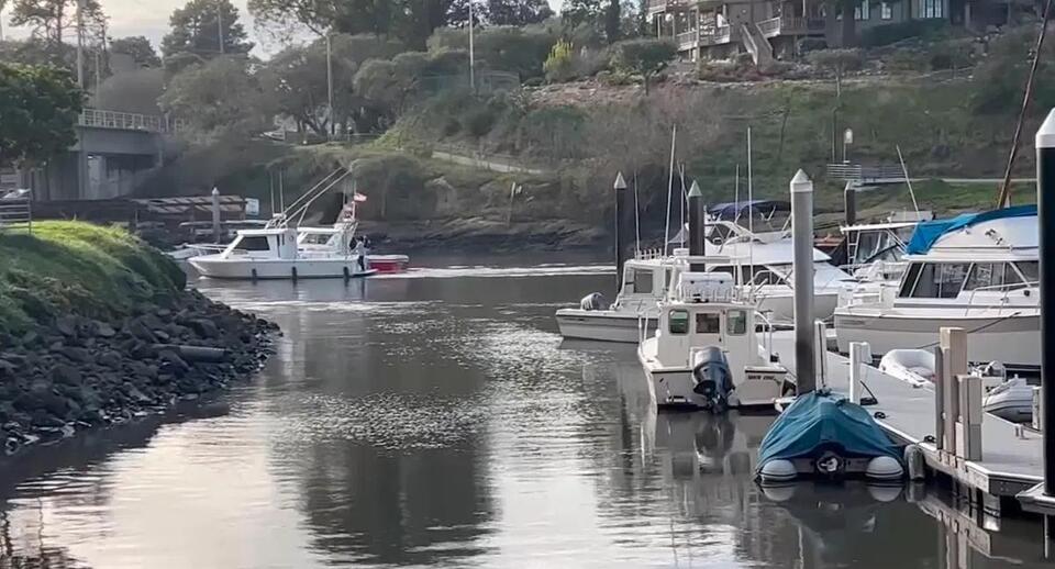 Looking back at the Santa Cruz Harbor’s tsunami history - NewsBreak