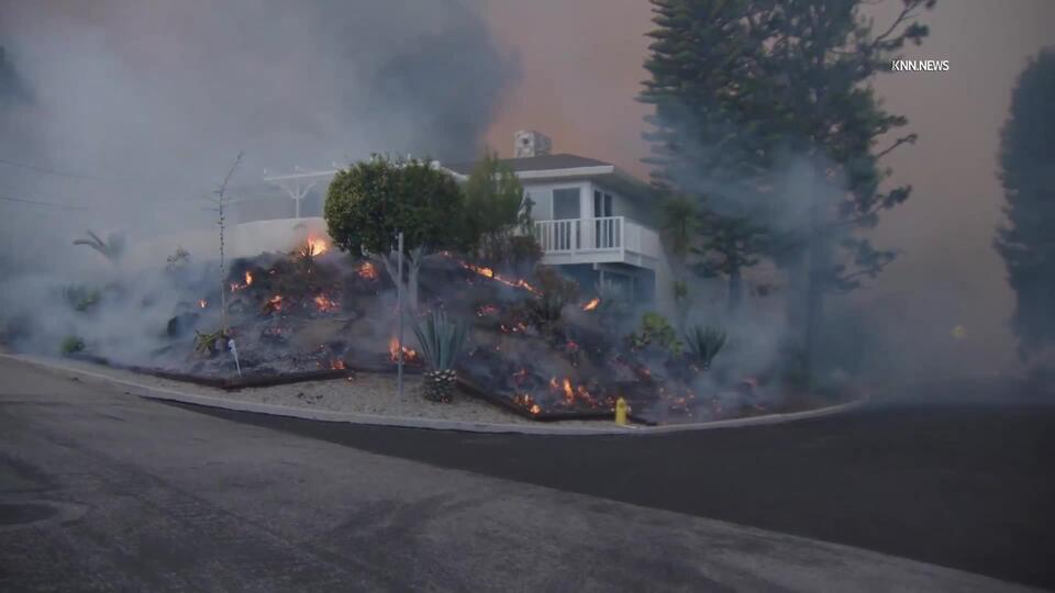Wind-Driven Brush Fire Consumes Homes in Pacific Palisades: Evacuations Underway - NewsBreak