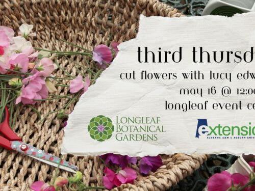 Anniston’s Third Thursday Event to Feature Cut Flowers Program with ...