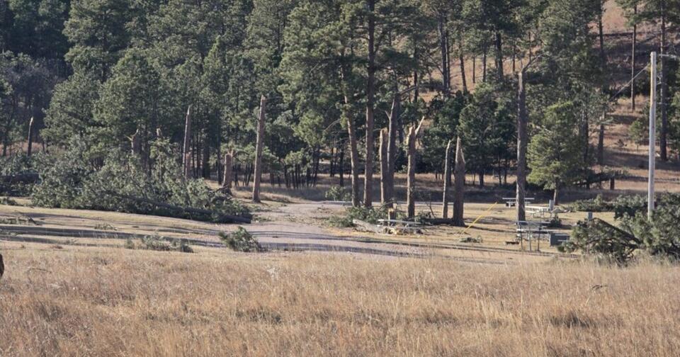 Custer State Park officials urge visitors to ‘stay safe’ as wind damage ...