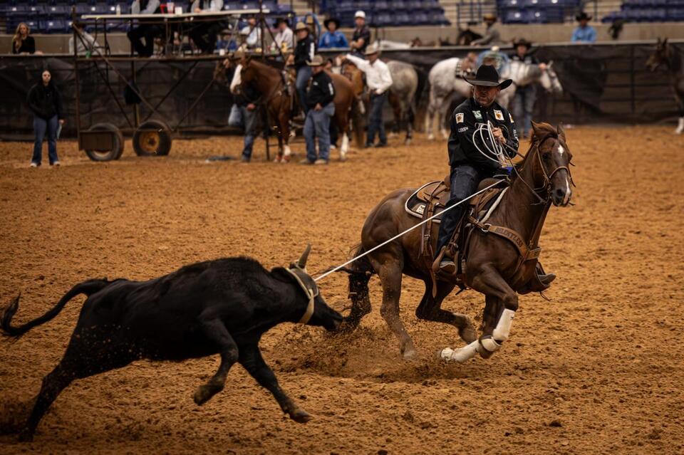 Trevor Brazile Wins 2025 ARHFA World Championship on 6-Year-Old Phenom ...