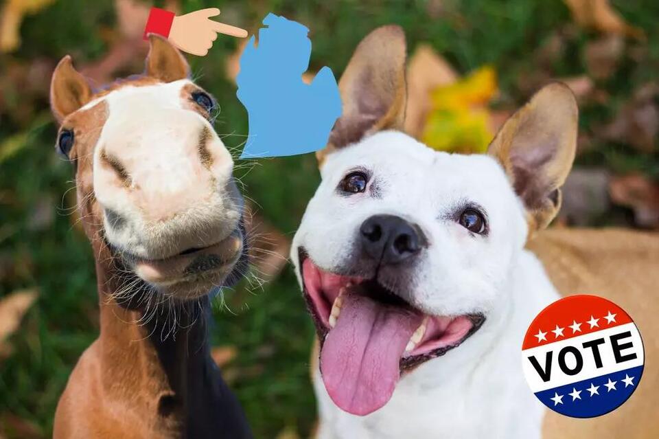 This Michigan Town Has Never Had A Human Mayor - NewsBreak