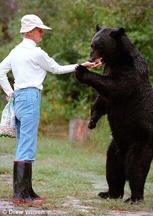 Museum of the Albemarle: Kay Grayson, Bear Lady of Tyrrell County, was ...