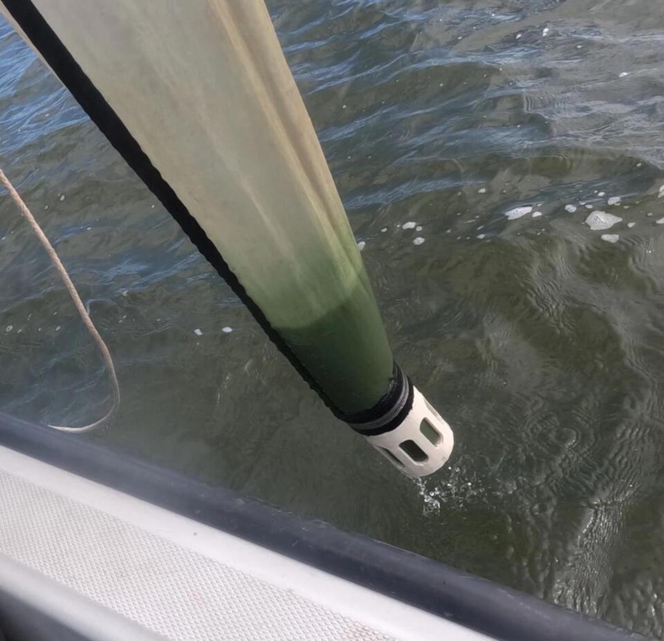 Hudson River Hit With Largest Toxic Bloom In 40 Years - NewsBreak