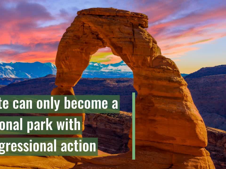 Bag of Cheetos had ‘huge’ negative impact on caverns’ ecosystem, NPS warns