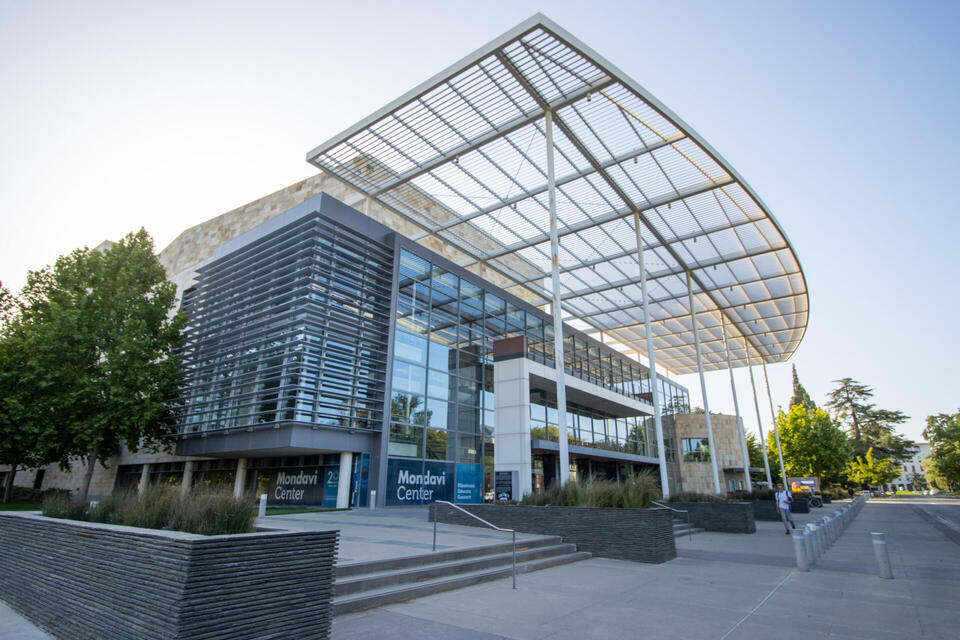 A handful of can’t-miss events this fall quarter - NewsBreak