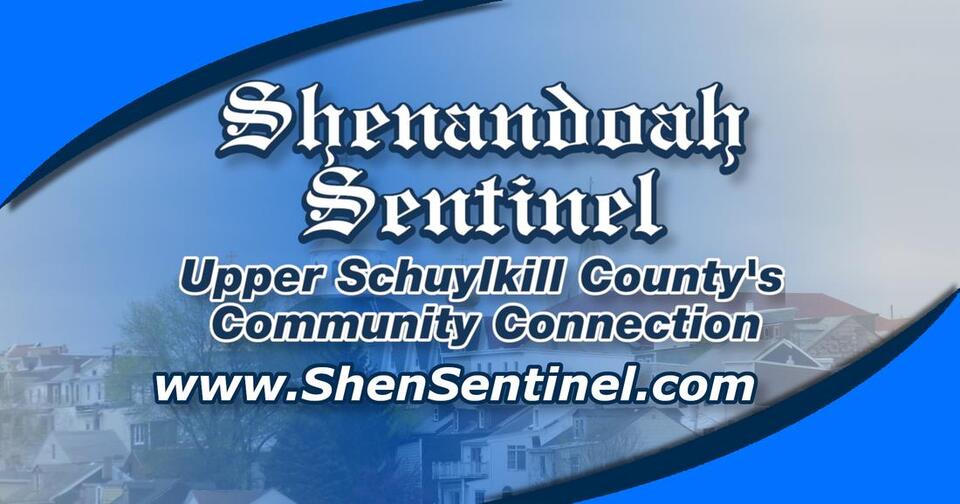 LETTER: Ruth Steinert Memorial SPCA issues urgent appeal for support ...