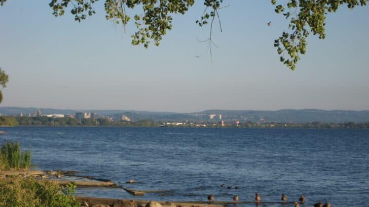 The Most Polluted Lake in the U.S. Just Had a Surprising Comeback ...