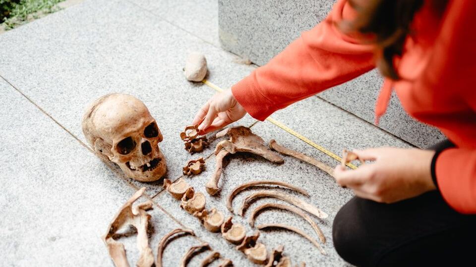 The Cave Girl, the Ice Man, and the Boy King: History’s Most Remarkable ...