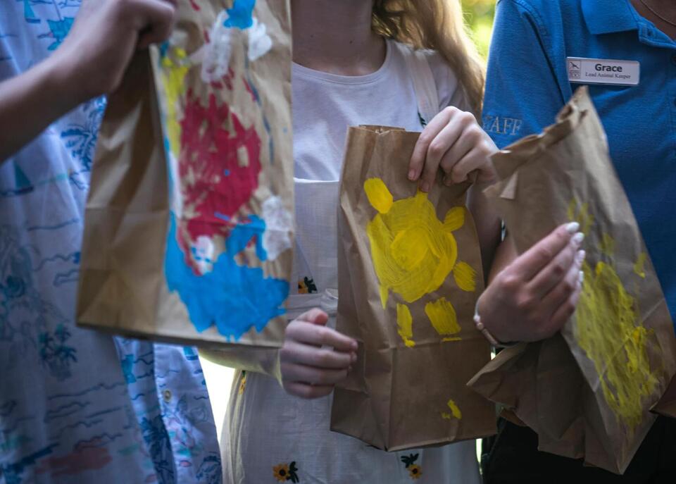 What to do with all those paper bags - NewsBreak
