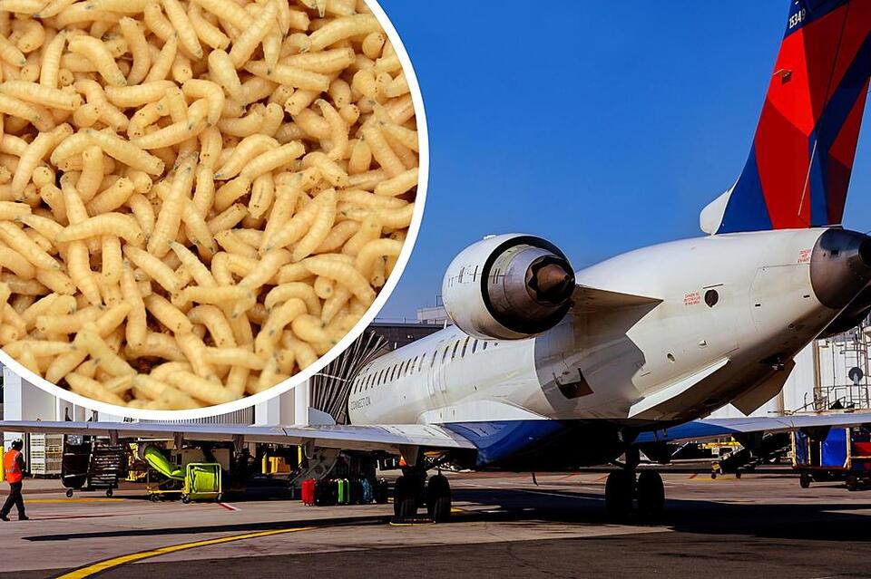 Airplane Diverted After Passenger is Showered With Maggots From ...