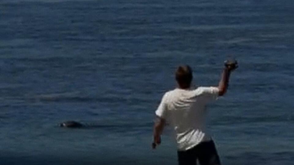 A tourist on vacation in Hawaii gets detained after allegedly throwing ...