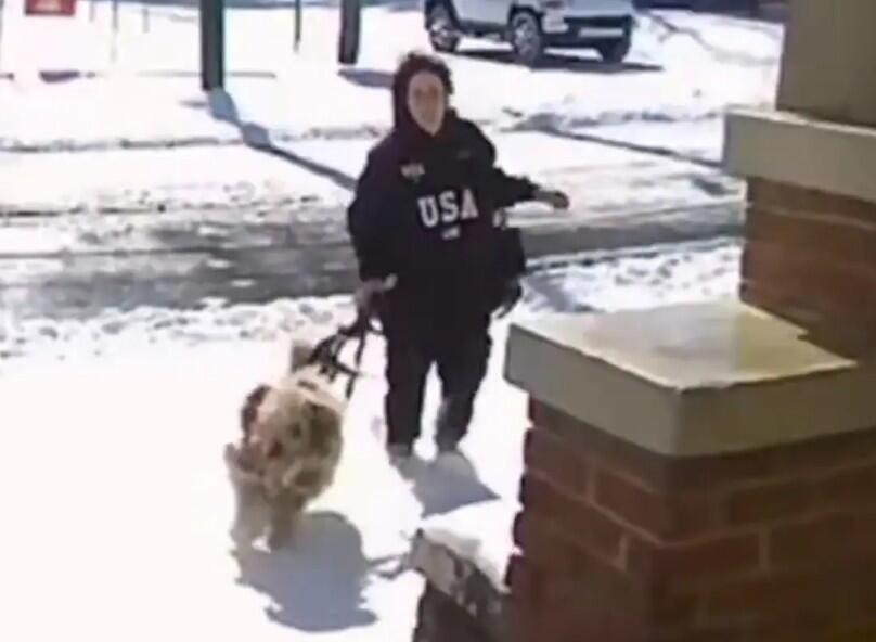 Kind hearted woman charged after rescuing abandoned and neglected dog ...