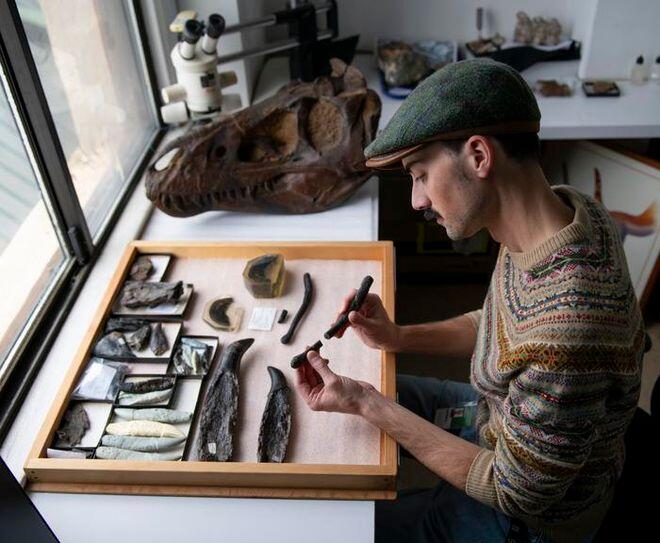 Tiny Throat Bone Confirms Nanotyrannus as Own Species — Adding Another ...