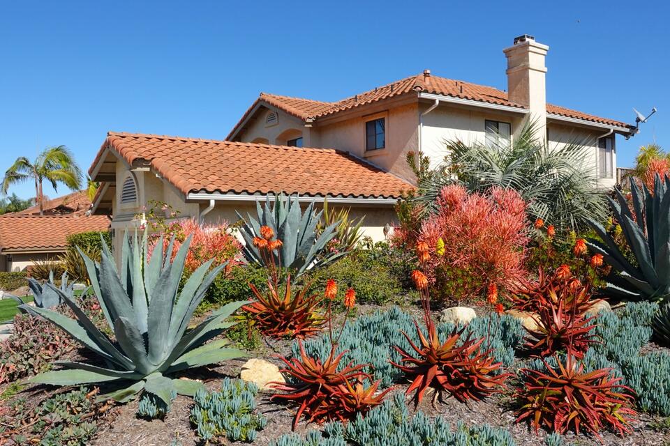 9 Ways Native Plants Can Cut Costs And Attract Buyers In California ...