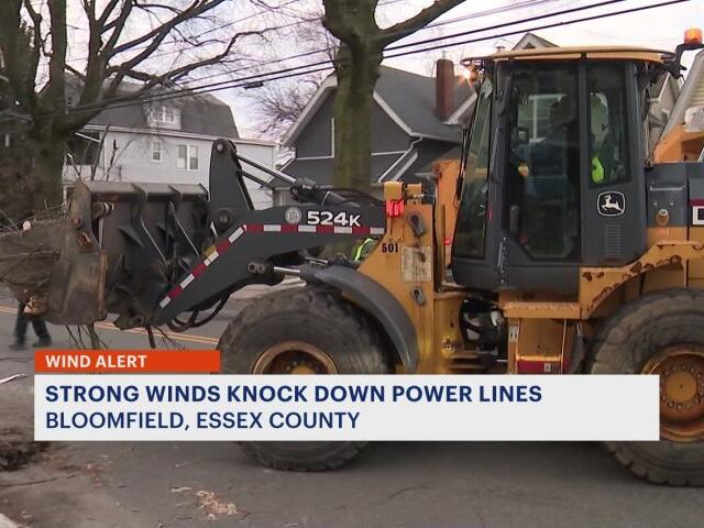 Strong winds knock down power lines, trees in Bloomfield