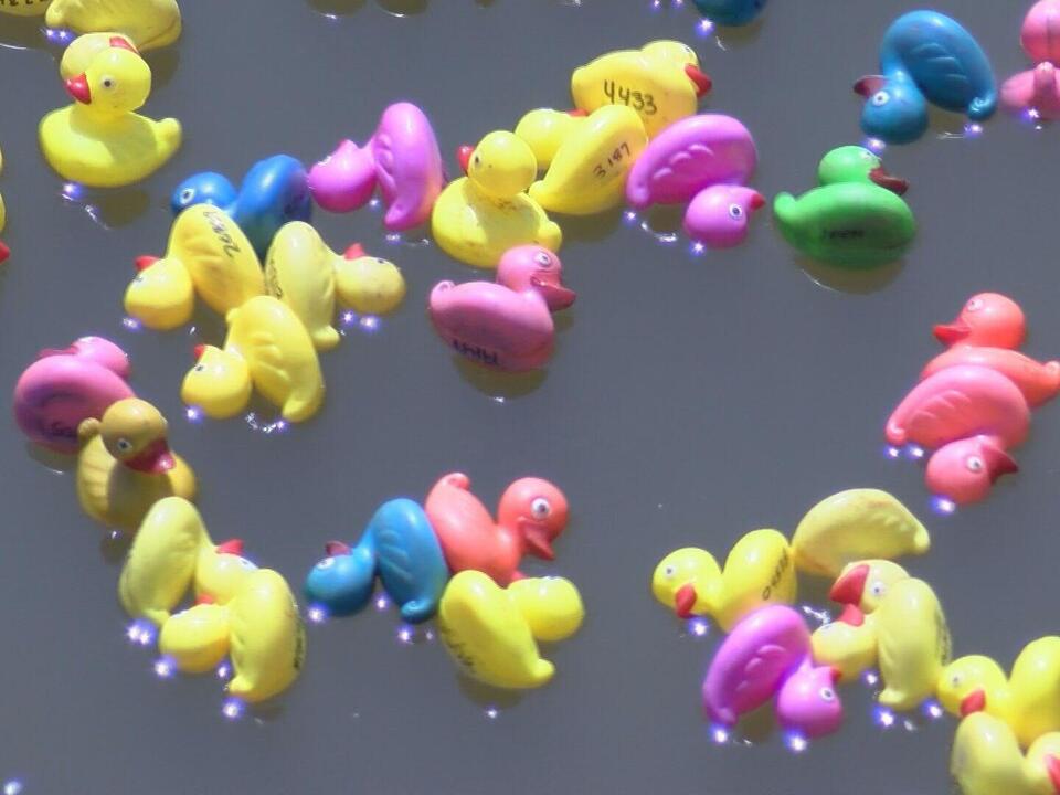 SCAN Duck Race drops 14 thousand plastic ducks in fundraising campaign